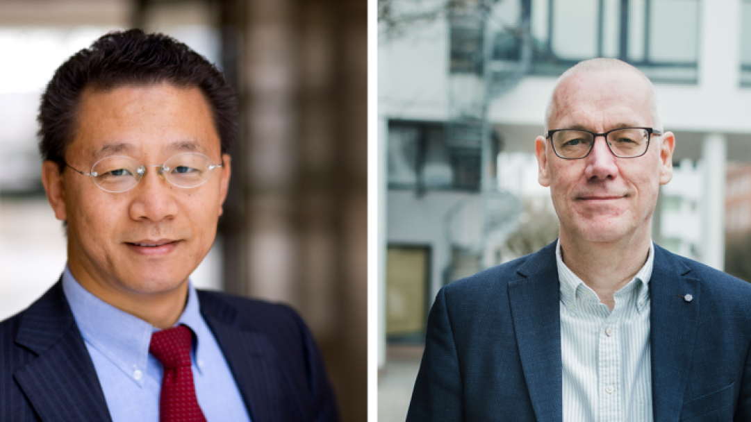 Collaboration that creates international competitive advantage | Swerim